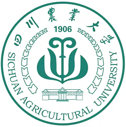 Kailin Jiang - Homepage